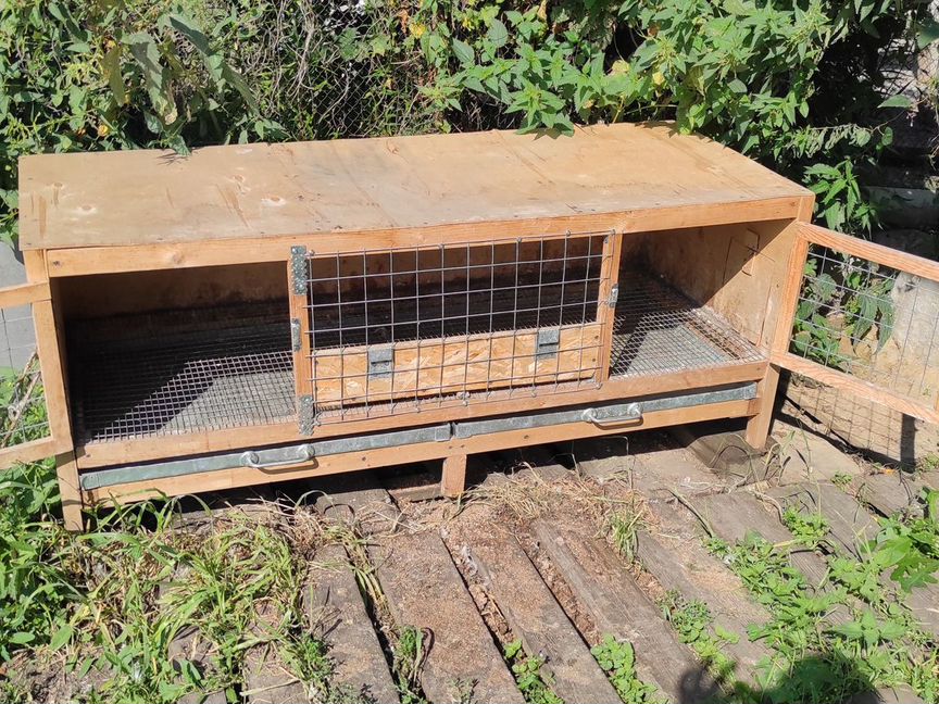 Клетка брудер для цыплят