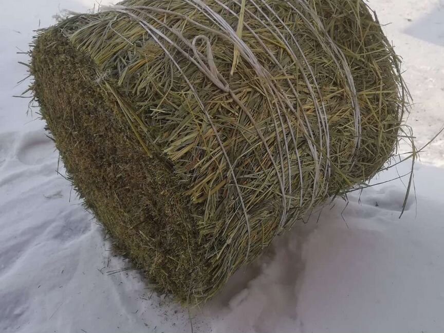 Сено в рулонах луговое