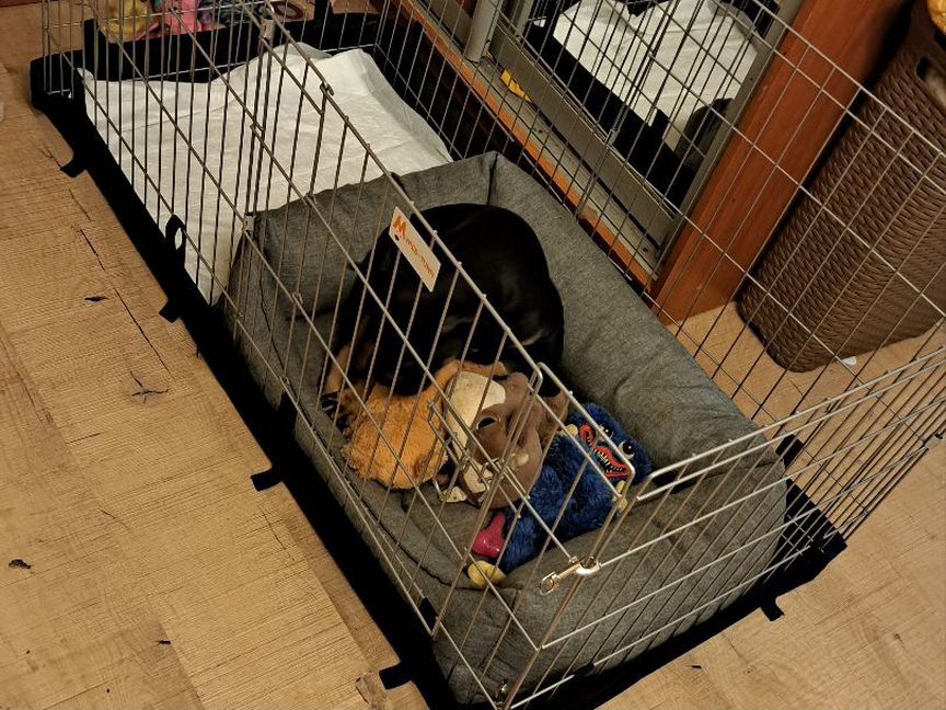 Вольер для собак в квартиру