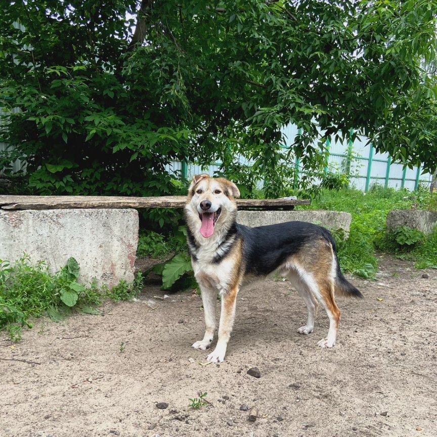 Ваську нужен дом