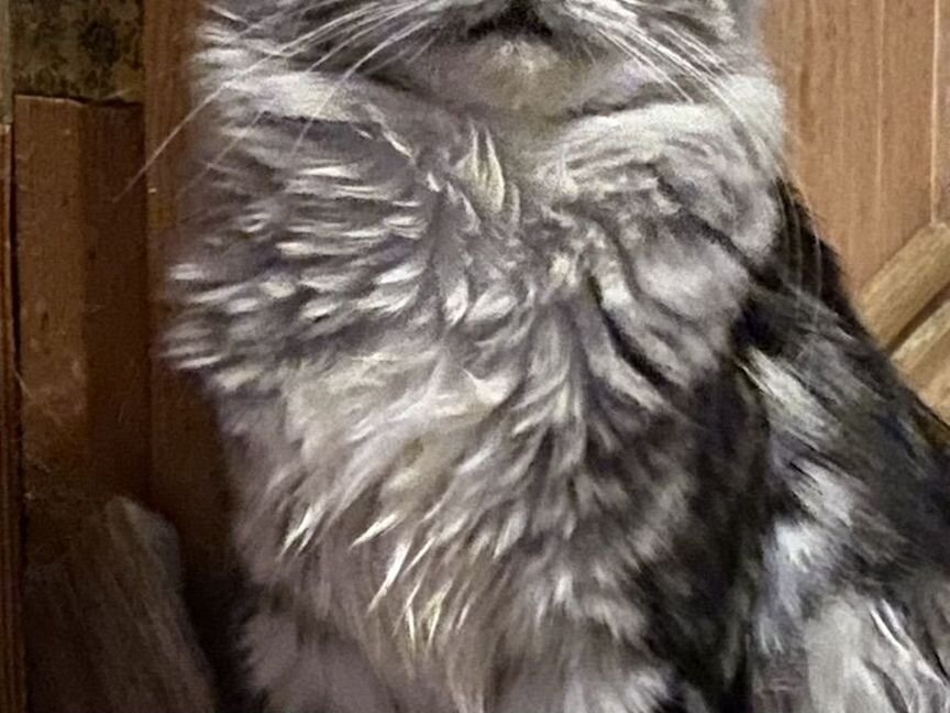 Серебряная девочка Фрея