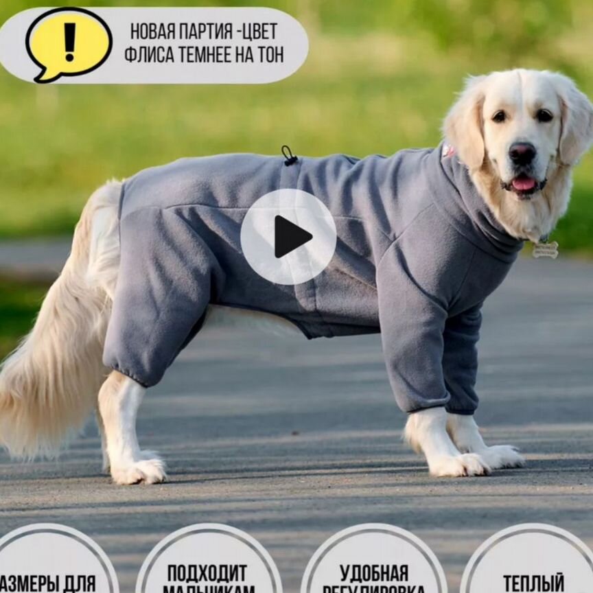 Комбинезон для собаки новый