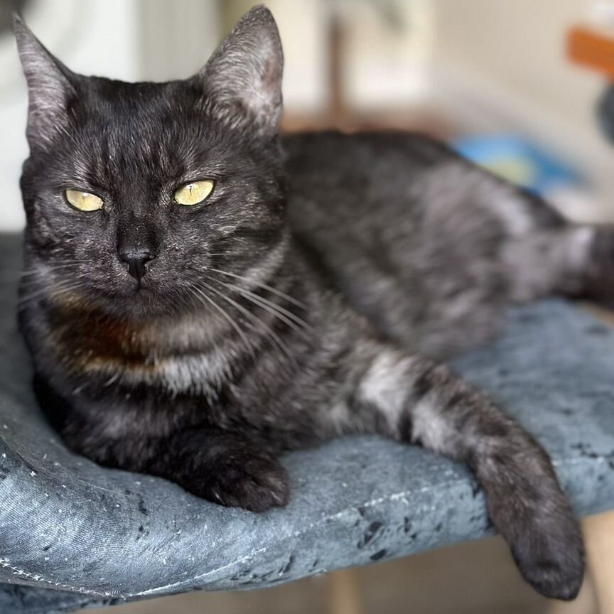 Гайка в самые заботливые руки