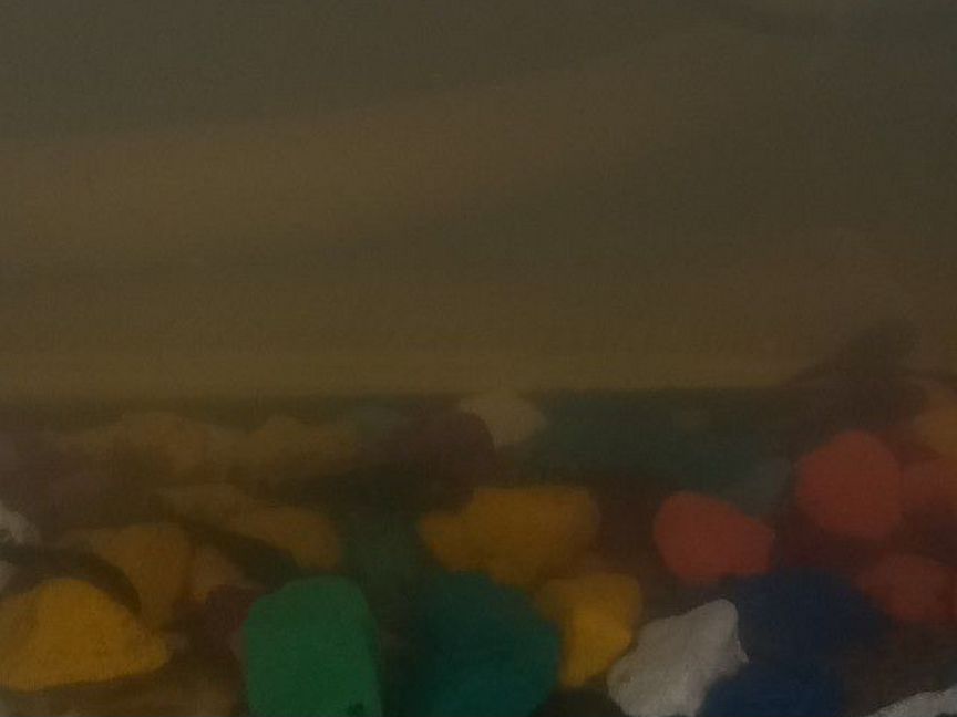 Аквариумные рыбки