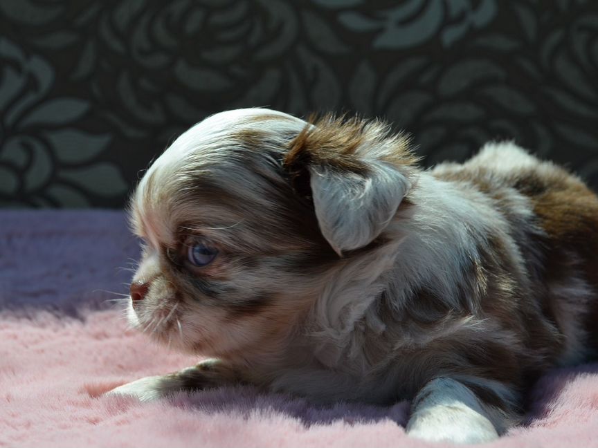 Мраморный эксклюзив