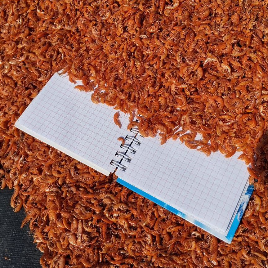 Гаммарус Мормышь