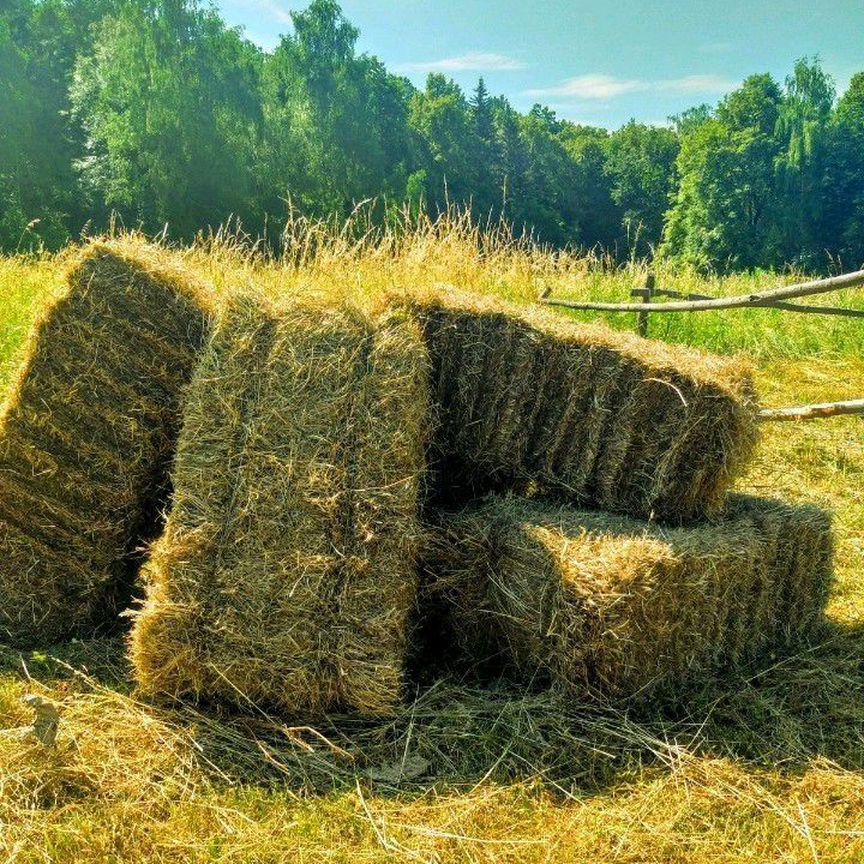 Продажа сена в тюках