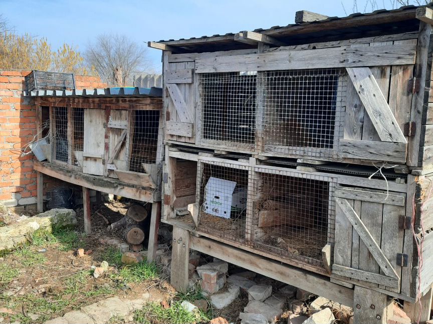 Крольчатник 3шт цена за все