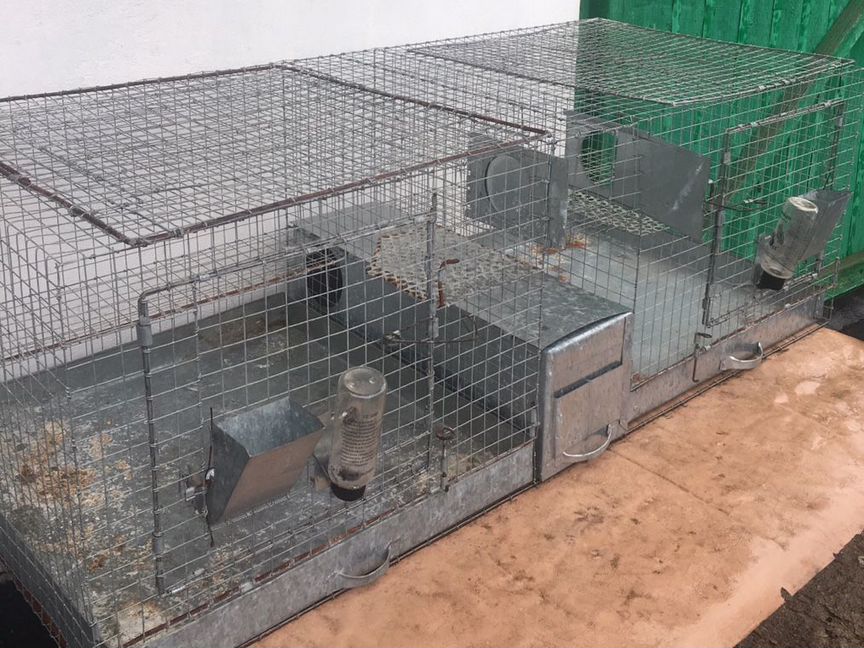 Клетка для шиншиллы