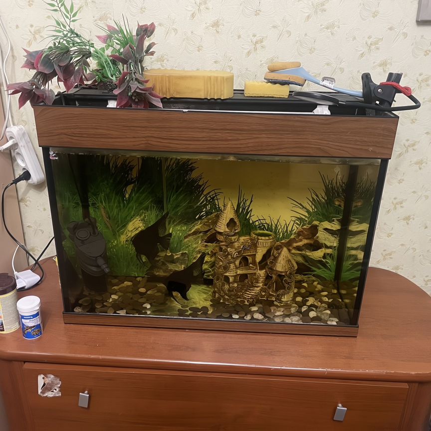 Аквариум с рыбками