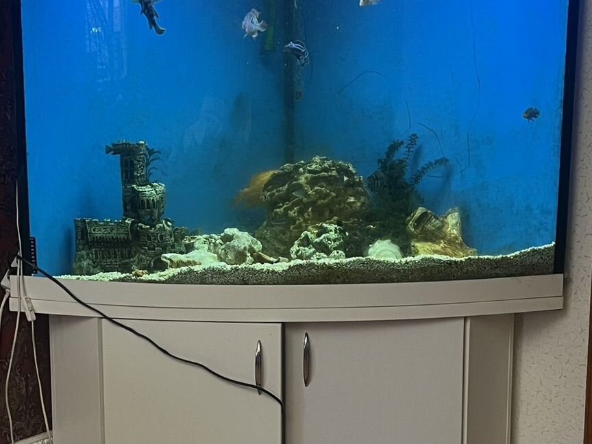 Аквариум с тумбой 450 литров