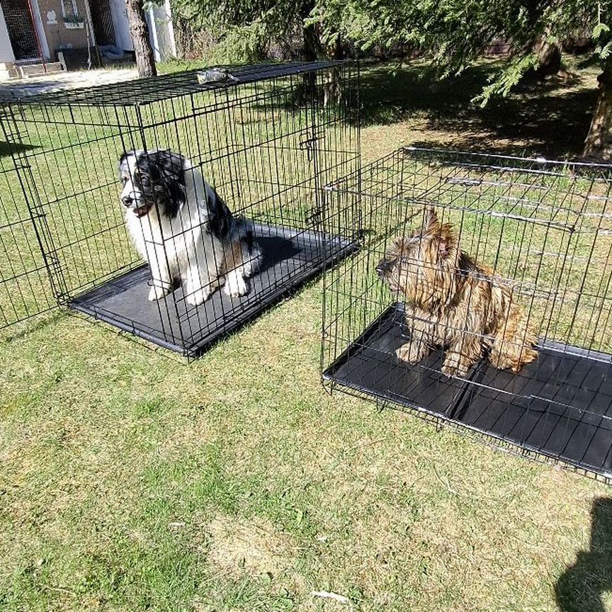Клетка для собаки бу