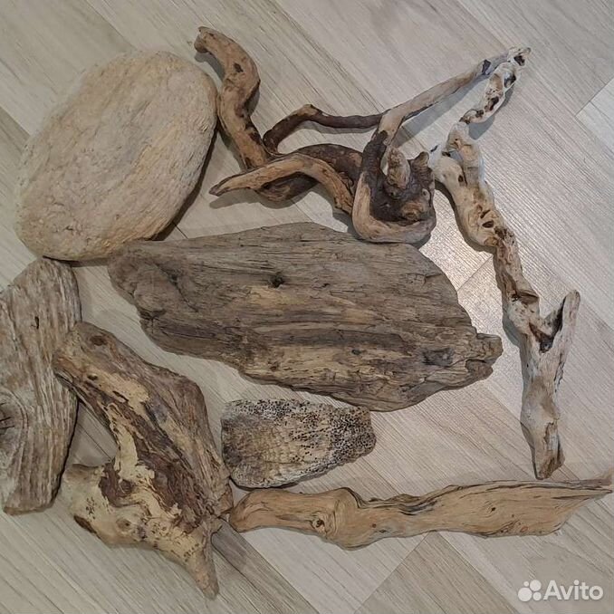 Коряги морские дрифтвуд