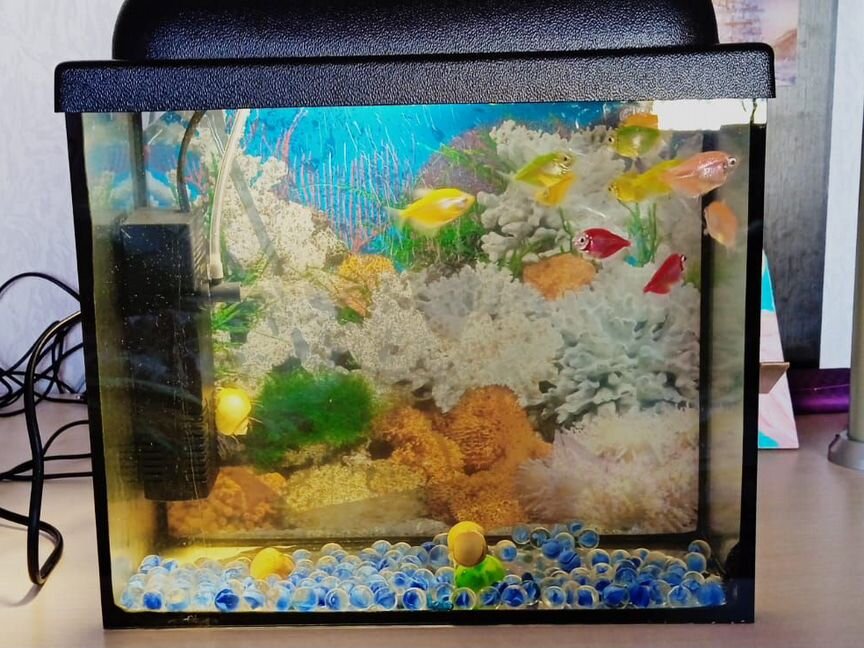 Аквариум с рыбками и фильтром