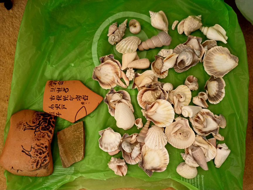 Ракушки+декор для аквариума