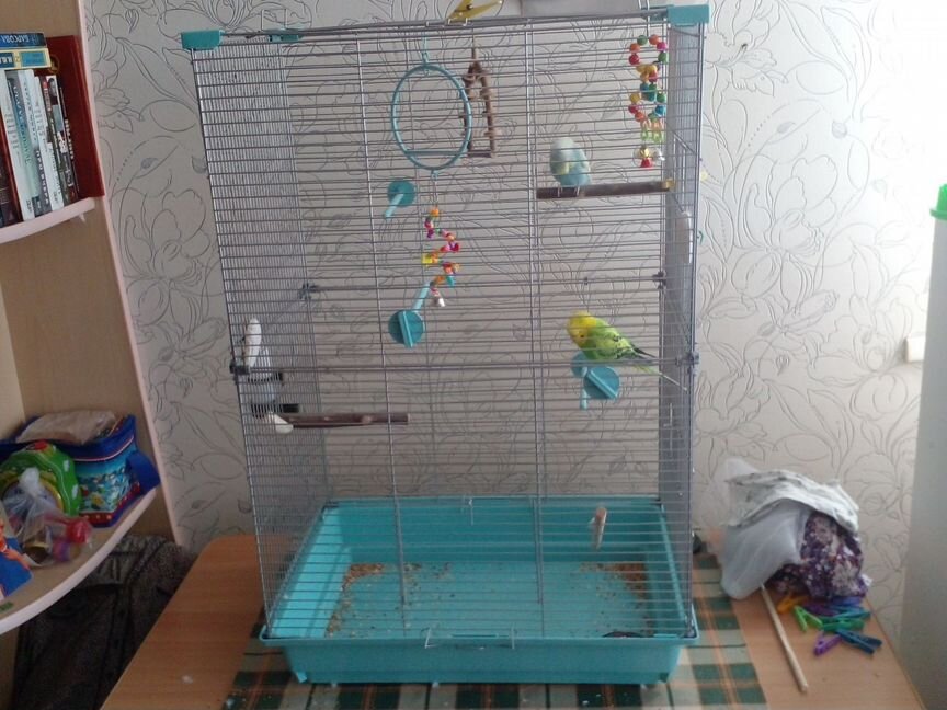 Клетка с попугаями огромная (вольер)