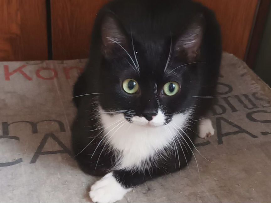 Мальчик 7 мес