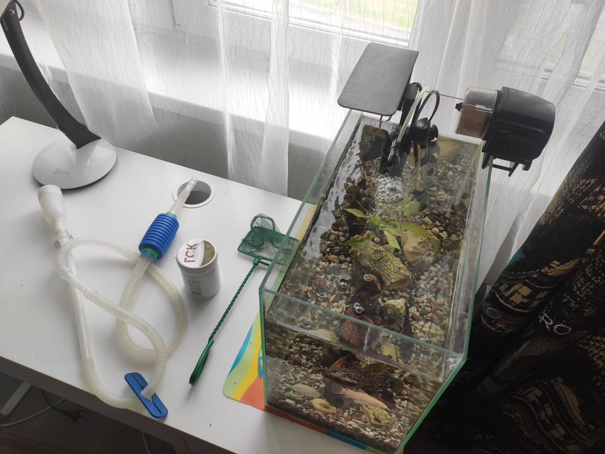 Аквариум с рыбками