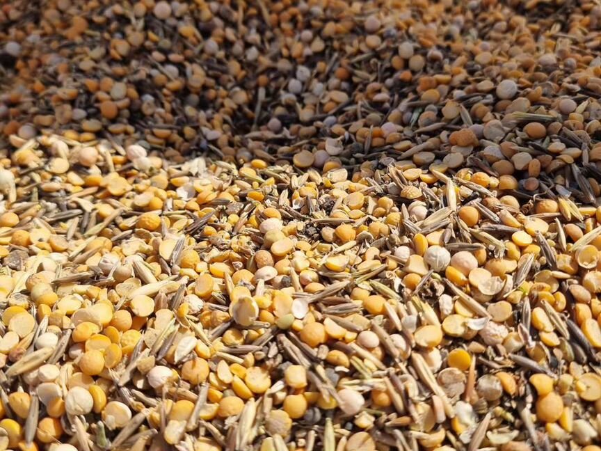 Гороховые отходы