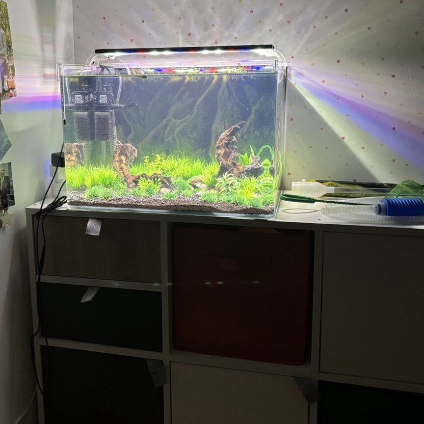 Готовый аквариум 60 литров