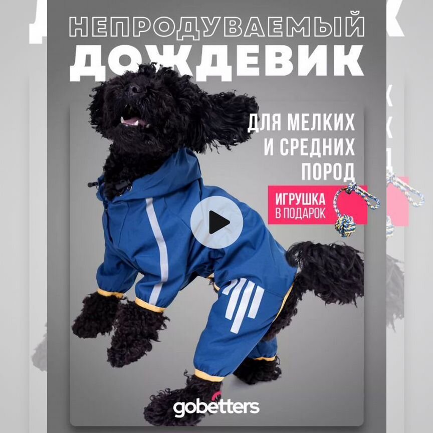Дождевик для собаки