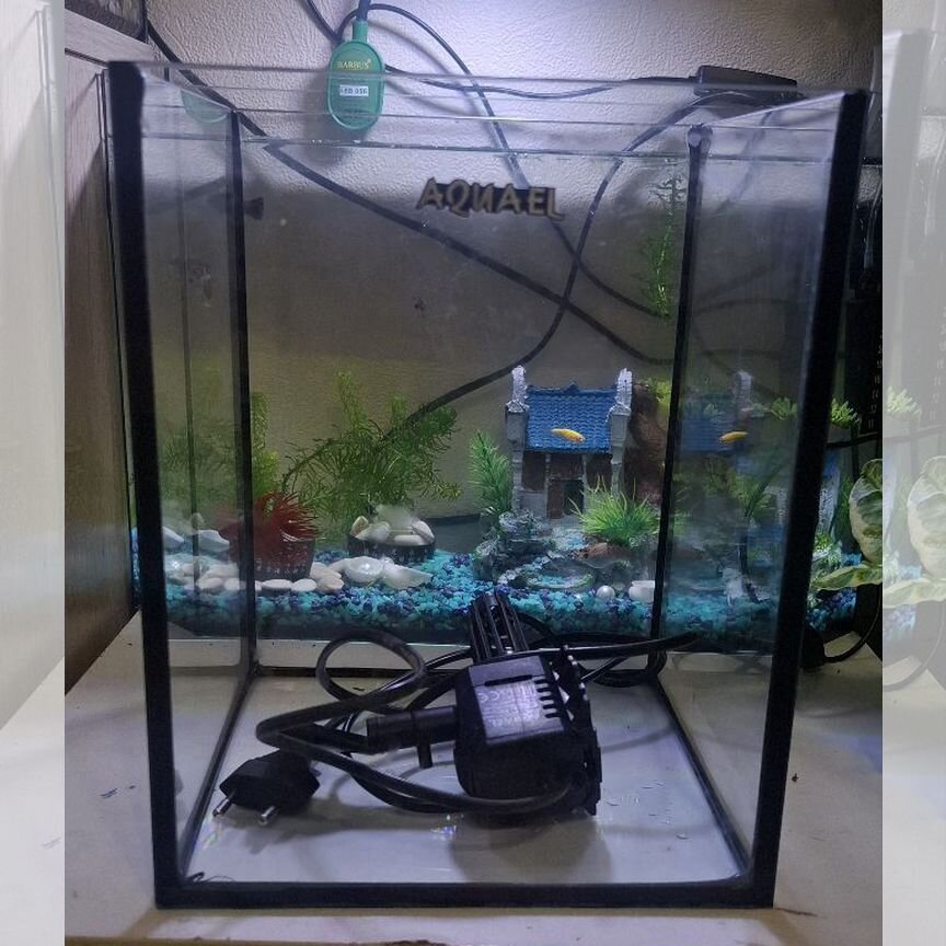 Аквариум 10 литров