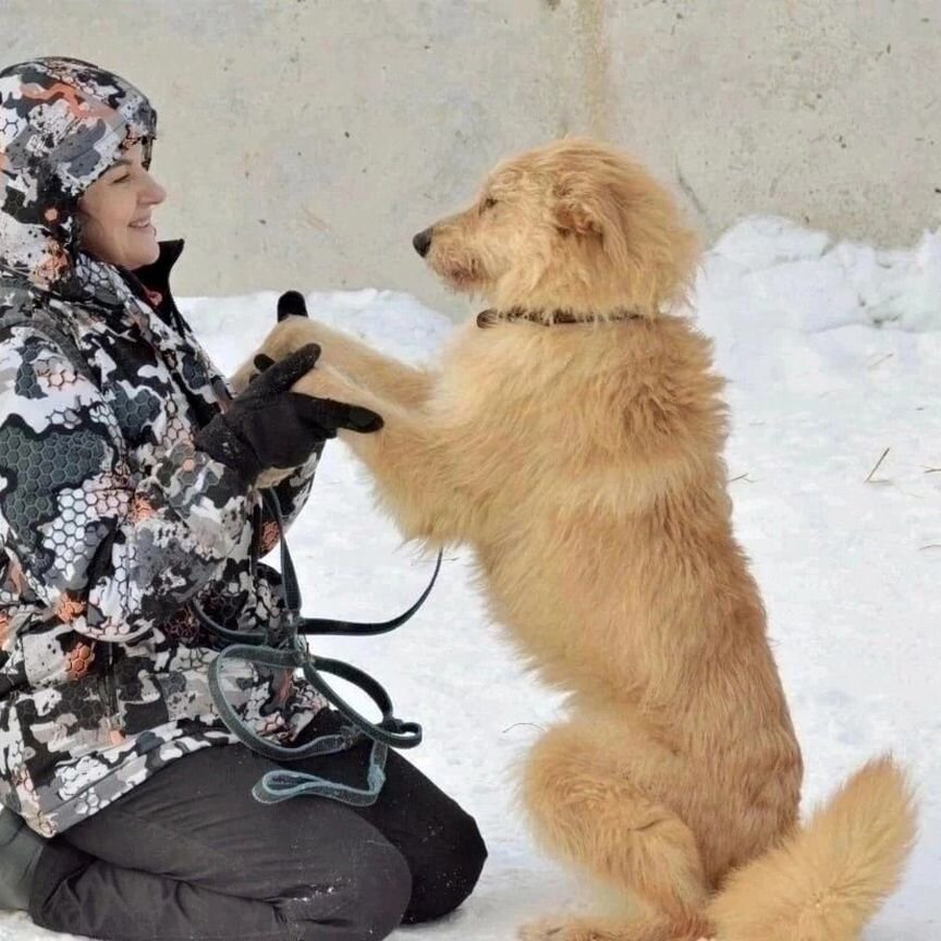 Элли всегда ждет у решетки вольера