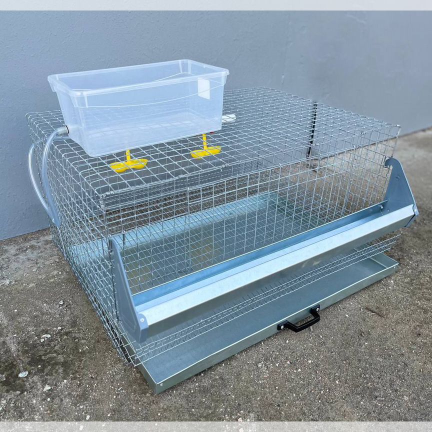 Переноска для перепелок на 30 голов