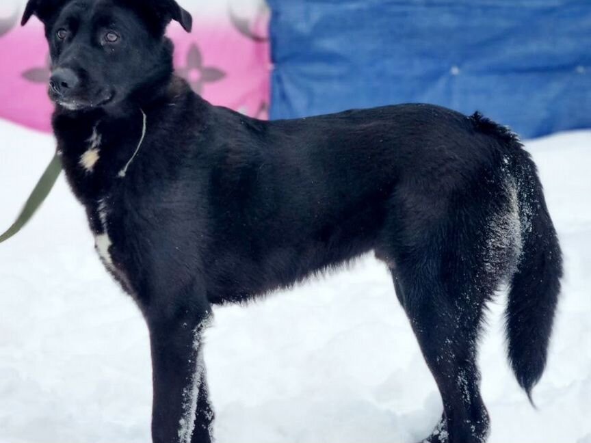 Молодой красивый мальчишка из приюта