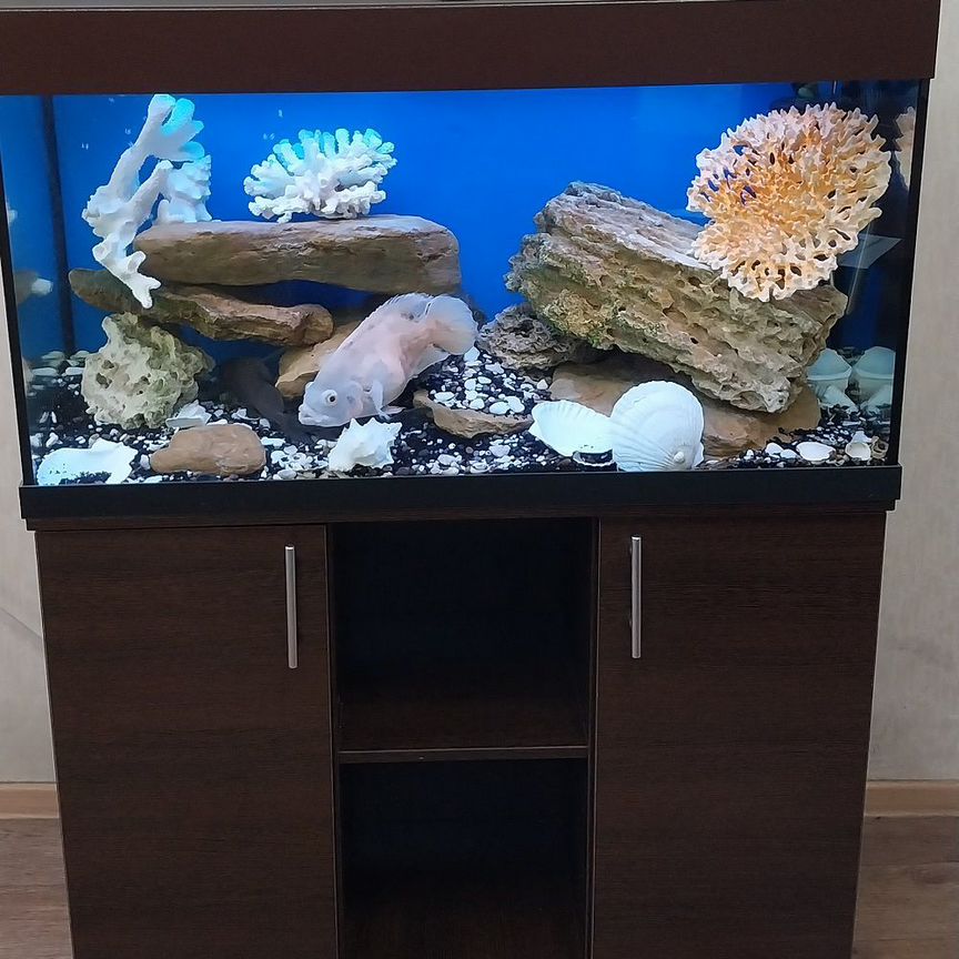 Аквариум 200 литров