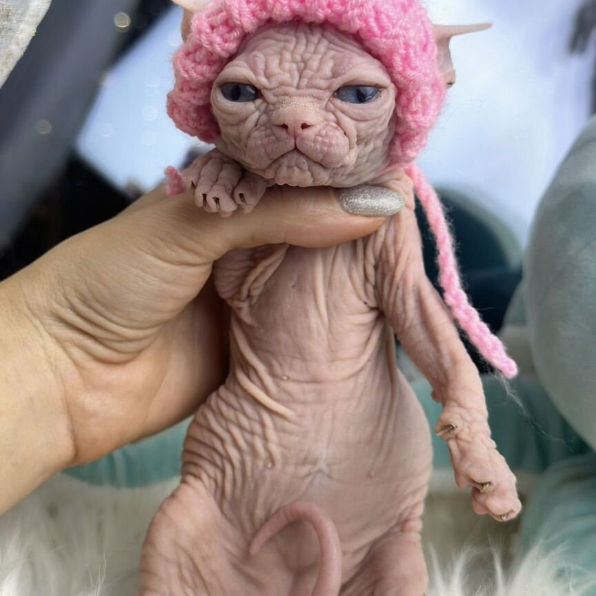 Инопланетянка