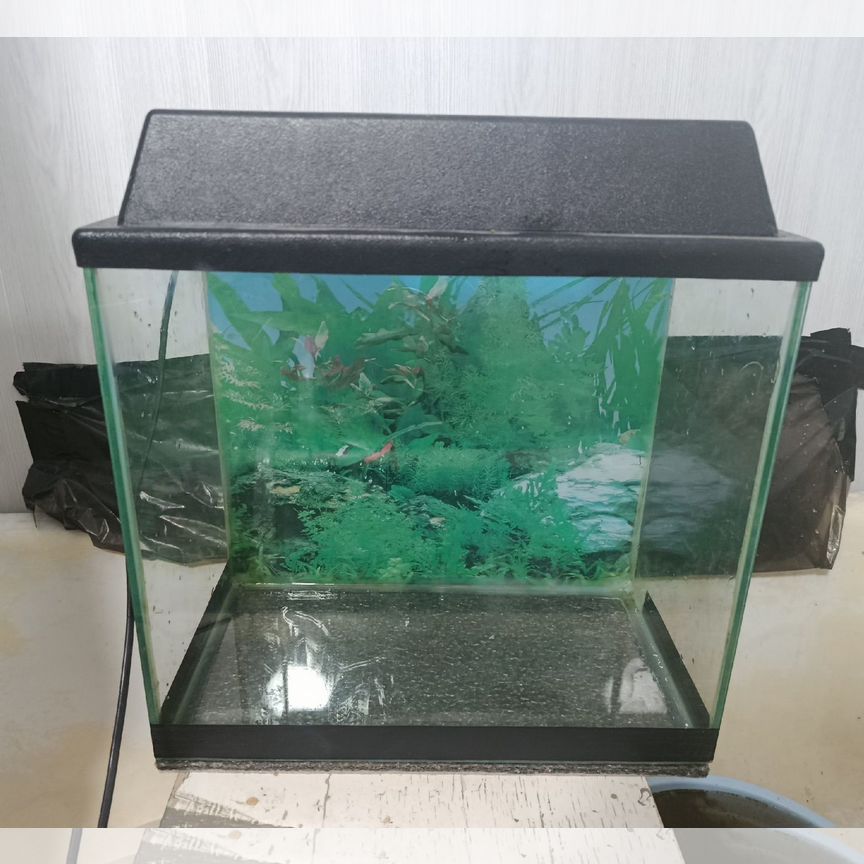 Аквариум 25 литров с фильтром