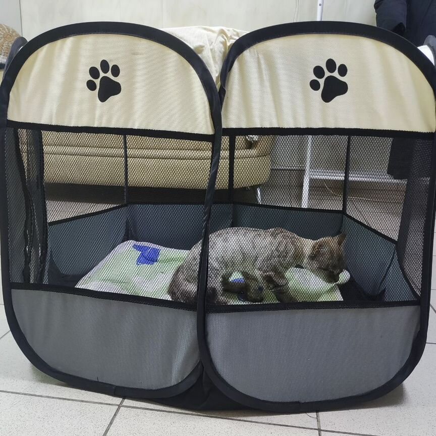 Манеж для котят, щенят, кролика, хорька