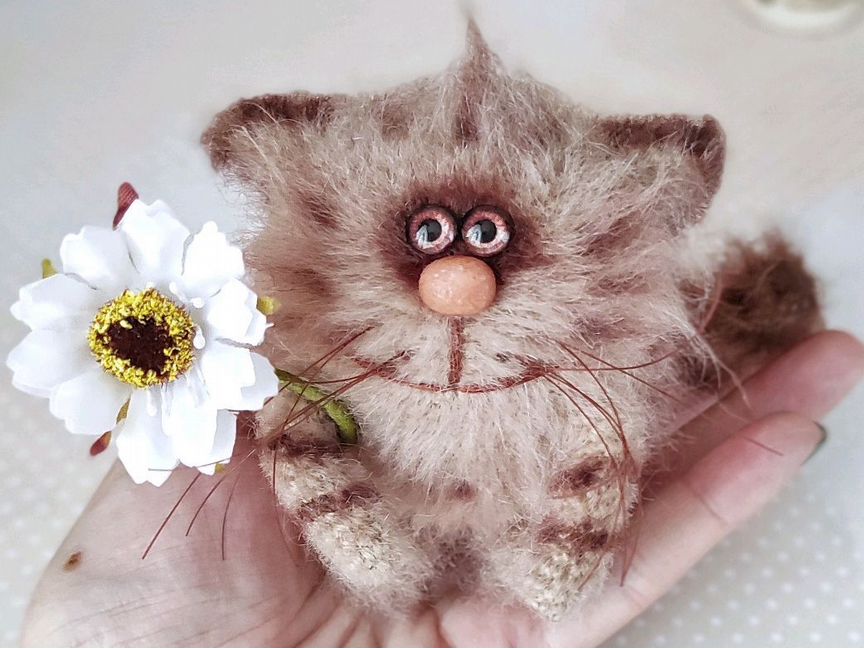 Кошка в добрые руки