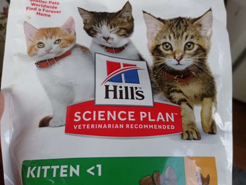 Корм для котят hills