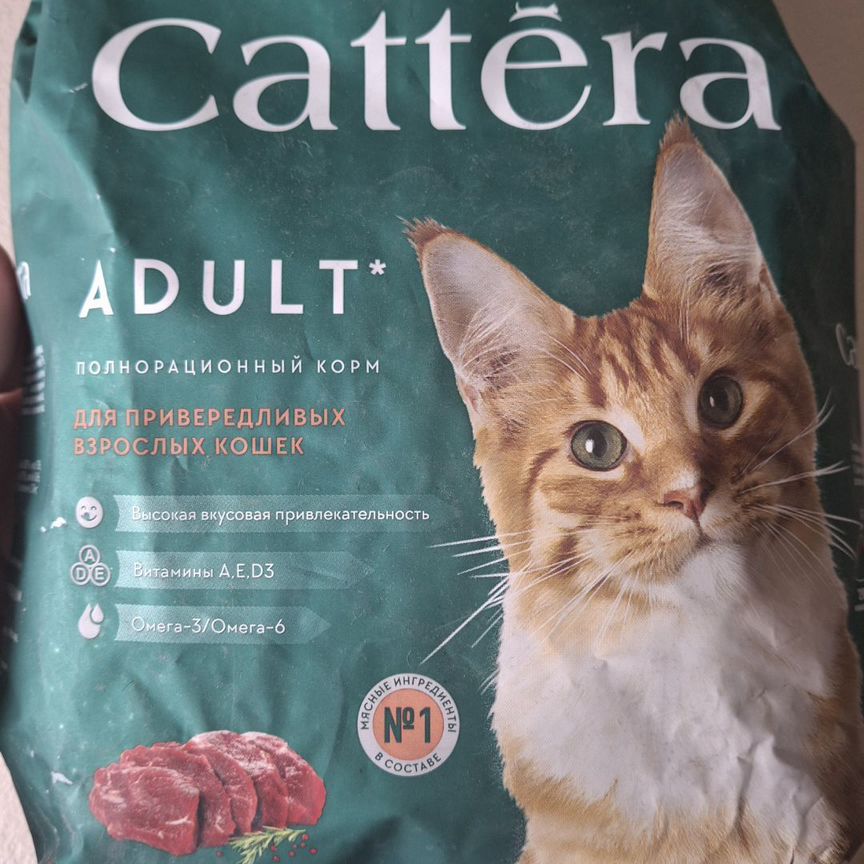 Корм для кошек cattera