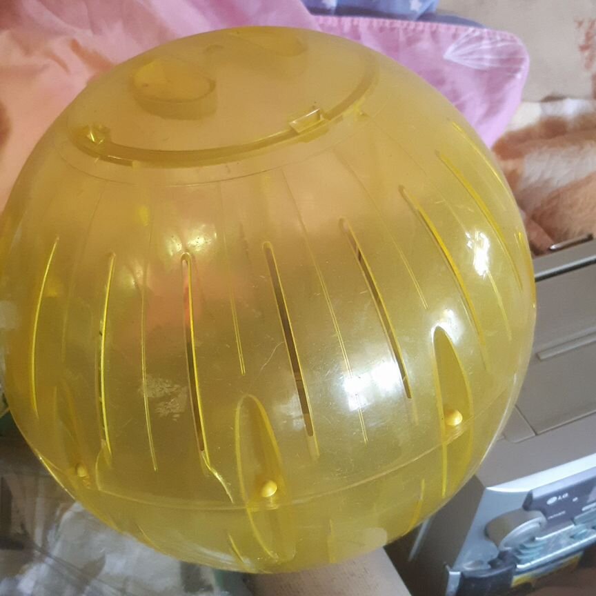 Бесплатно Шар прогулочный для шиншилл