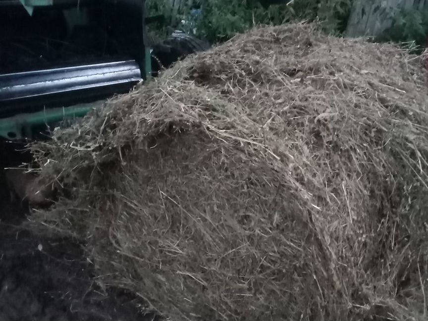 Сено в рулонах