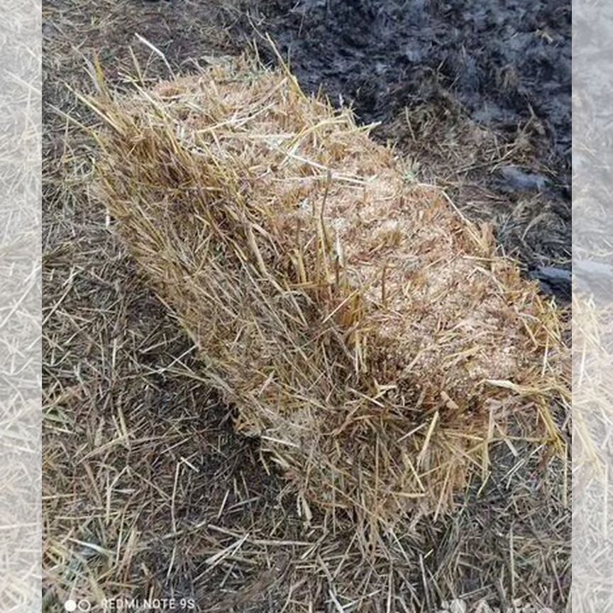 Сено солома просянка