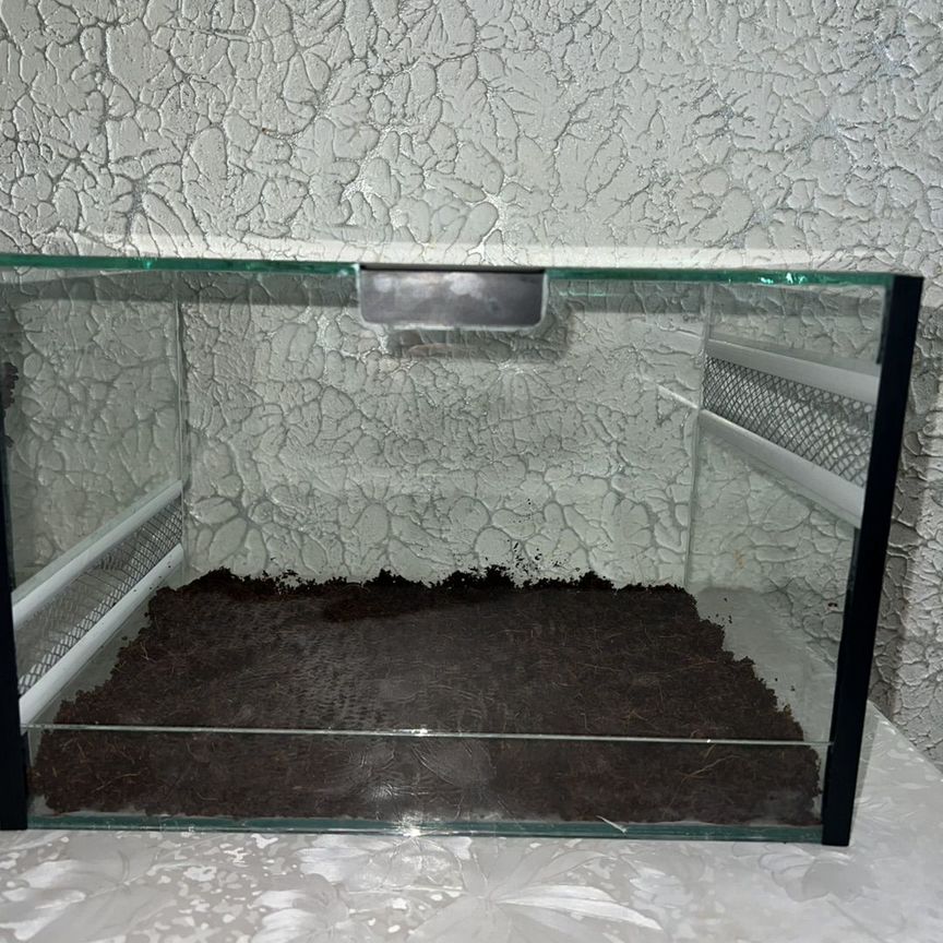 Террариум-паучатник