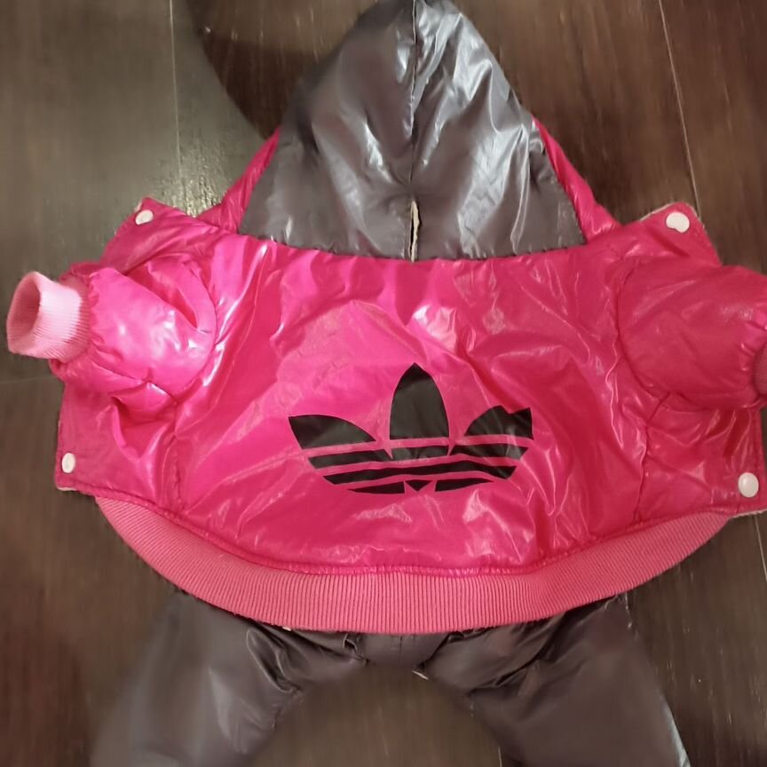 Комбинезон для маленькой собаки