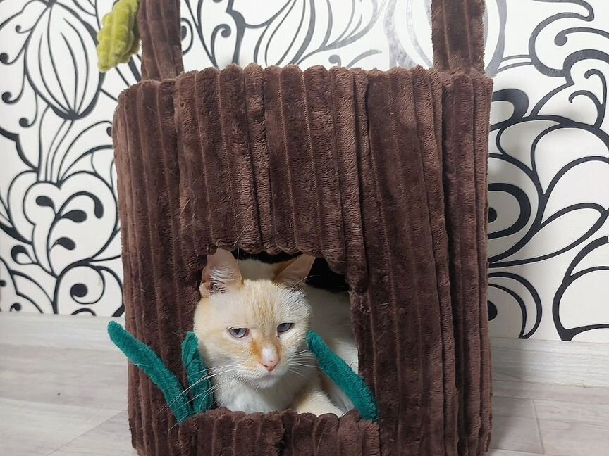 Домик для кошки
