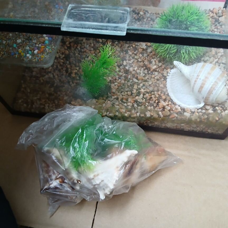 Продам оквариум