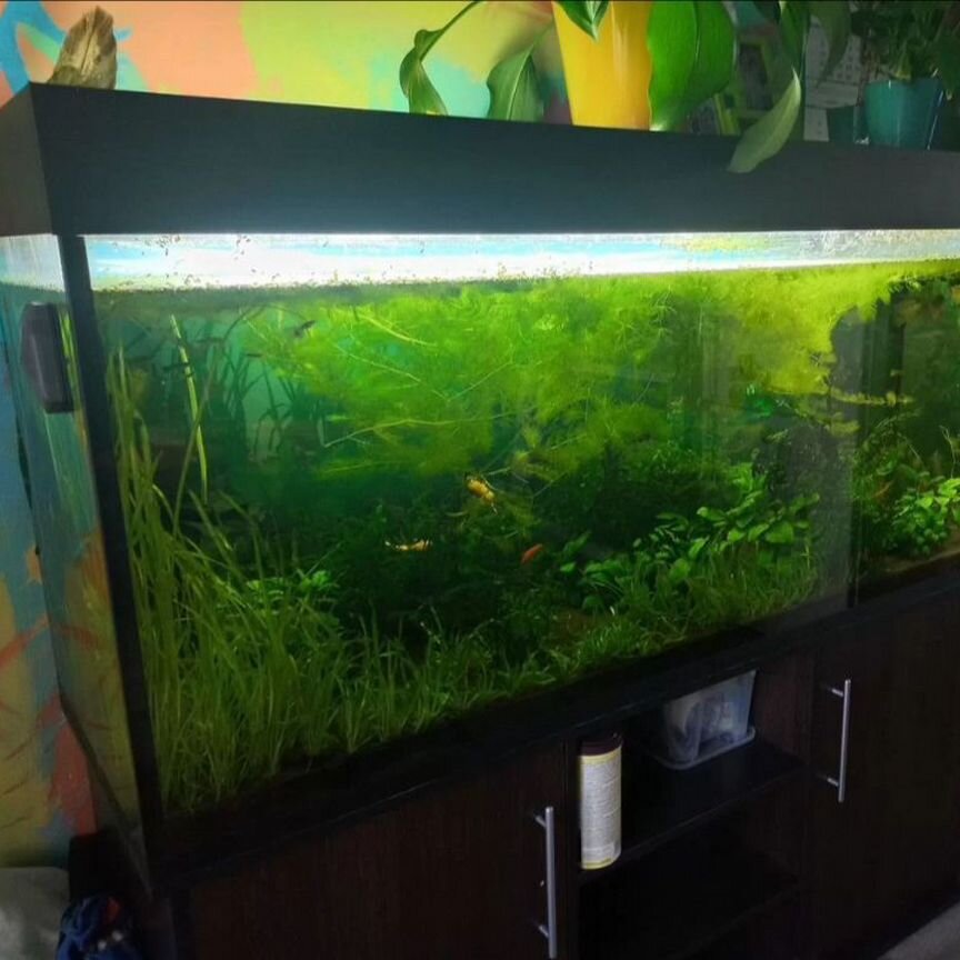 Аквариум с тумбой 500 литров