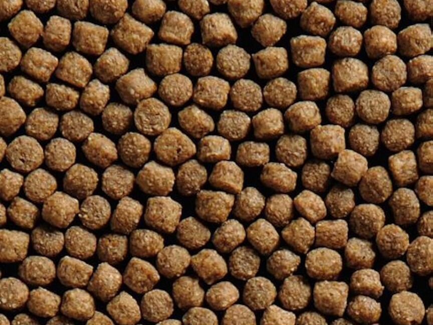 Комбикорм для рыб