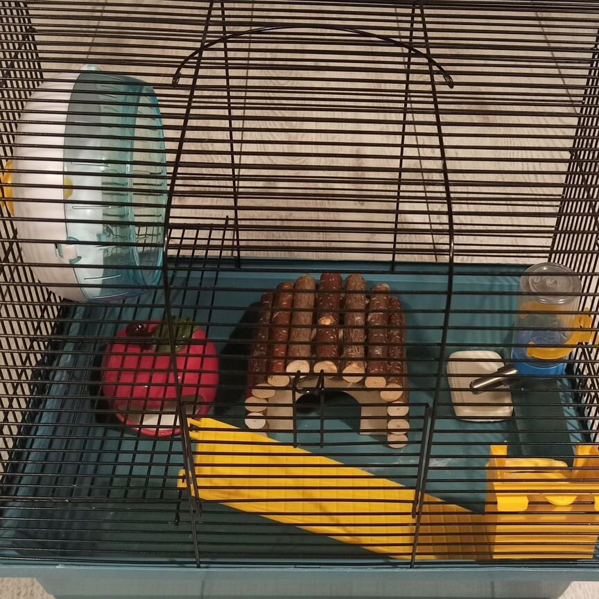 Клетка для грызунов бу