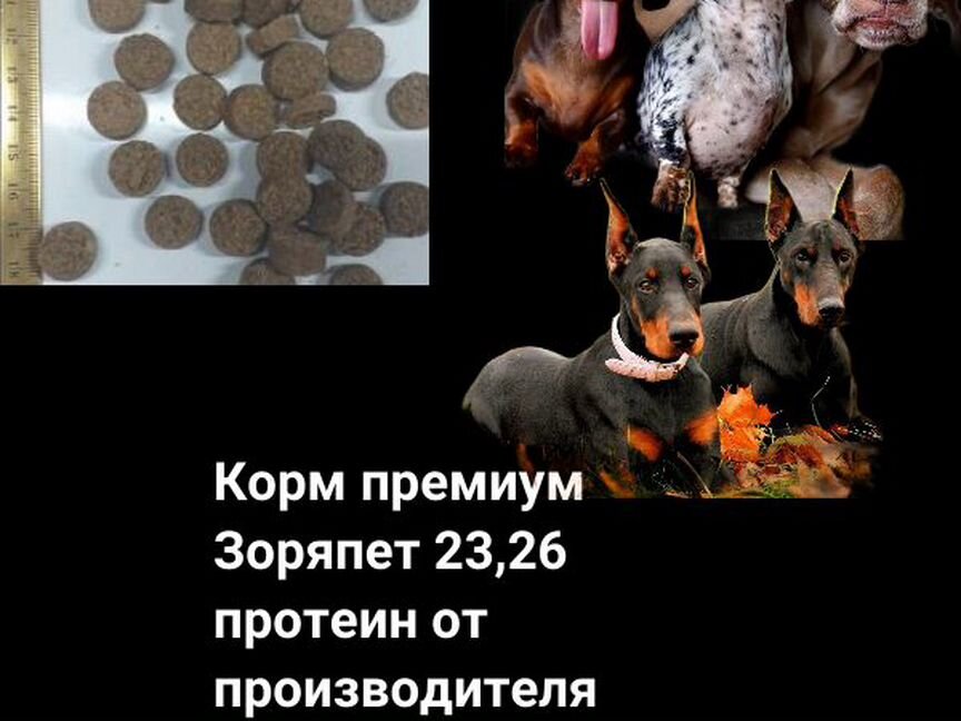 Сухой корм для собак премиум класса Смоленск, Киро