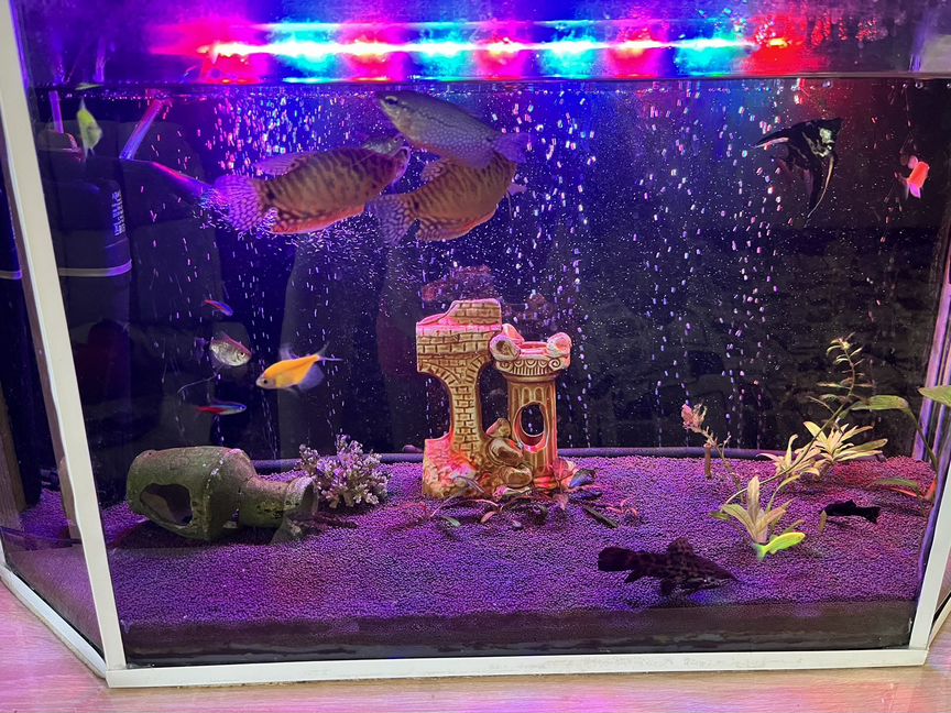 Аквариум 75л с тумбой