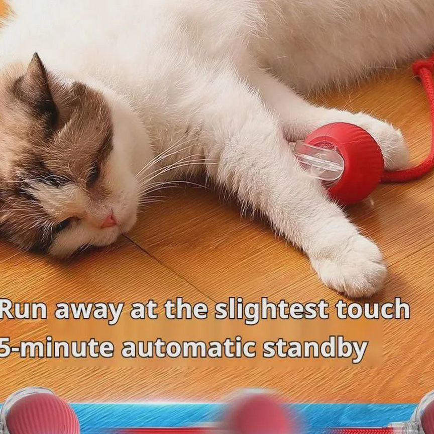 Электрический игрушечный мяч для кошек