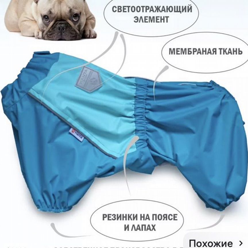 Дождевик для французского бульдога мальчика